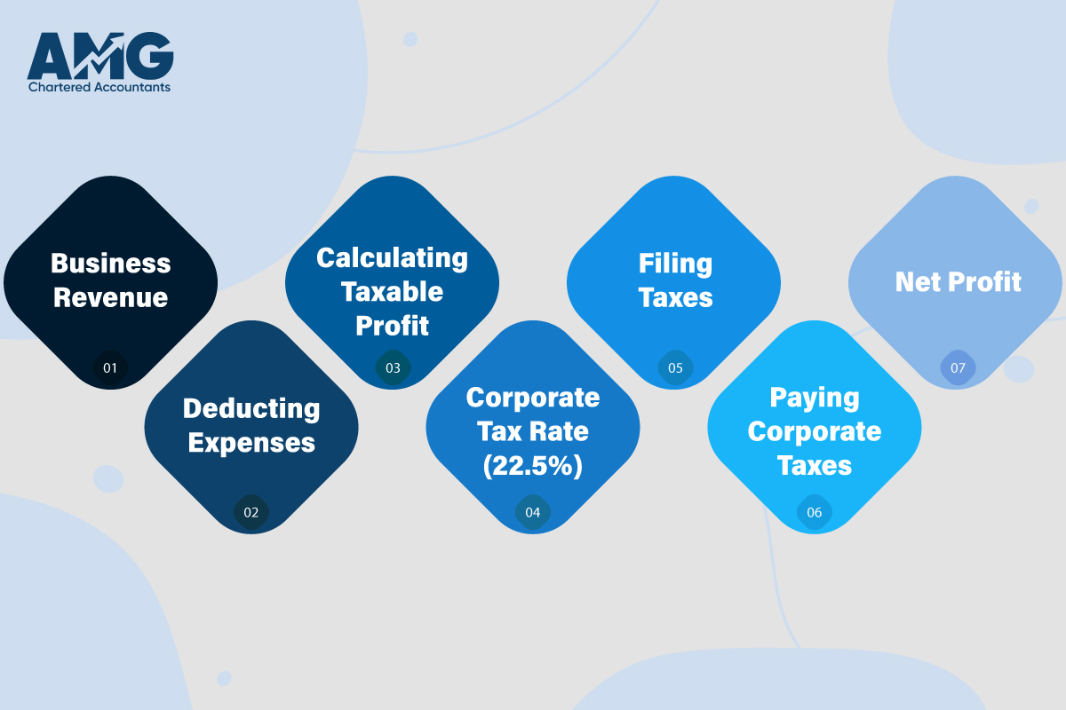 Best Accounting Practices for Small Businesses in Egypt | AMG Chartered ... Best Accounting Practices for Small Businesses in Egypt | AMG Chartered ...
